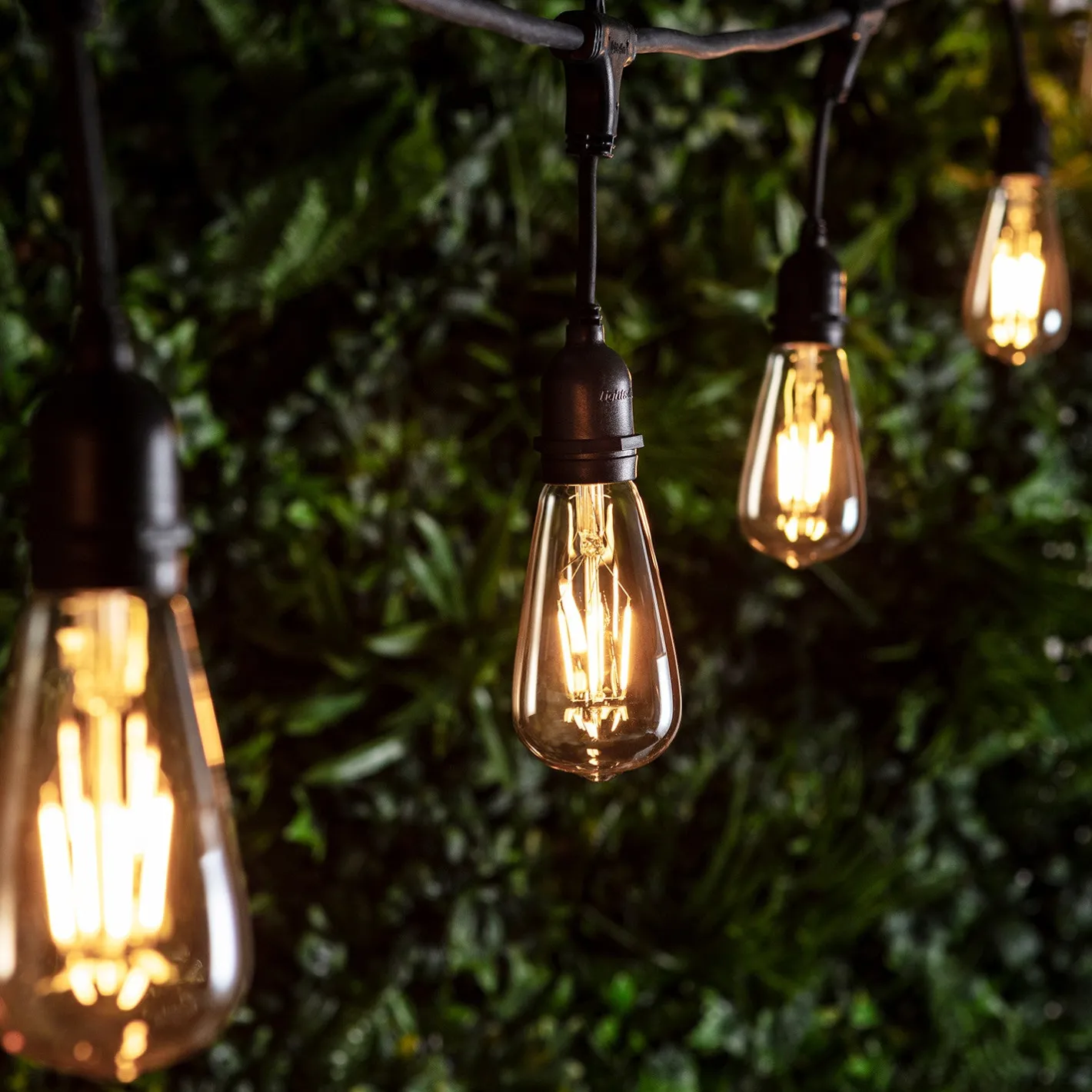 Ingenious Connect 10 Squirrel Cage Bulb Festoon Light Bundle>Lights4fun ...